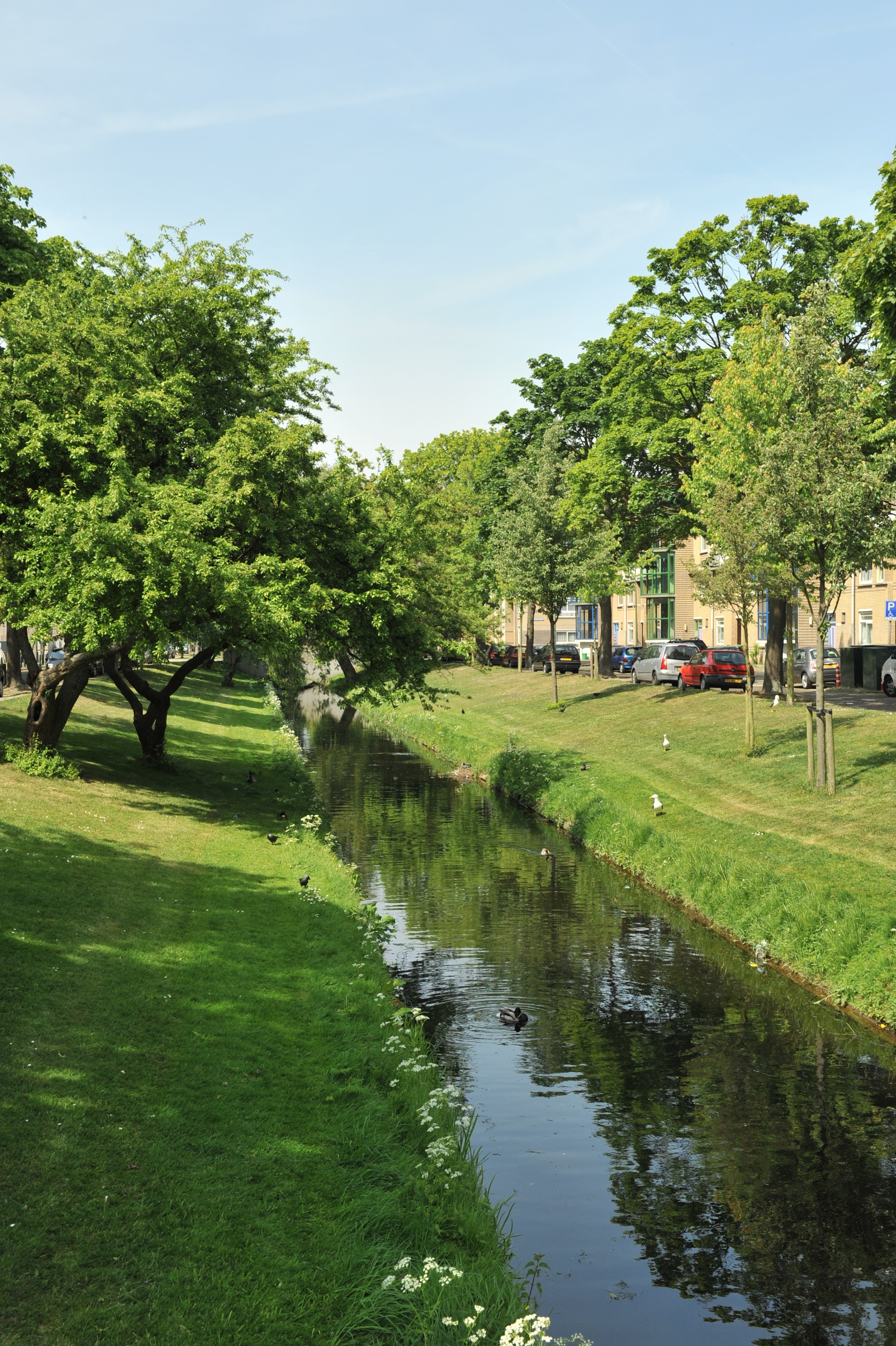 Social housing: Noordpolderkade 77C, Den Haag [sociale-huurwoning.com]